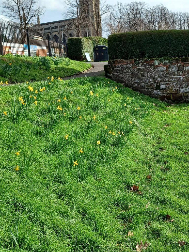 Early Signs of Spring - Kidderminster Town Council